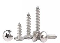 China Top Quality Stainless Steel SS304 SS316 Phillips Pan Head Tapping Screw DIN7981 for sale