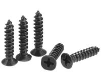 China 18-8 Stainless Steel Countersunkhead Tapping Screw Black Cross Recess SS304 2205 2507 904L 2207 for sale