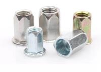 China M6 M8 Stainless Steel  Hex Hexagon Flat Head Blind Rivet Nut Polishing Plain for sale