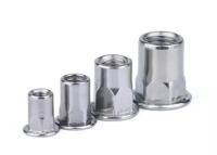 China M6 M8  18-8 Stainless Steel 304 316 Plain Semi Hex Flat Head Rivet Nuts for sale