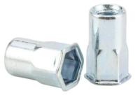 China M4 M5 GR2 GR5 Grade 2  Semi Hex Countersunk Round Small Head Rivet Nut for sale