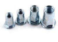 China M4 M5 GR2 GR5 Grade 2  Semi Hex Countersunk Round Small Head Rivet Nut for sale