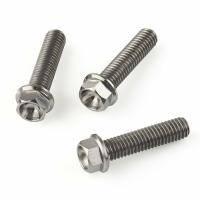 China M3 M4 M6 Stainless Steel Hex Flange Metal Bolt Plain SS304 SS316 DIN6921 for sale