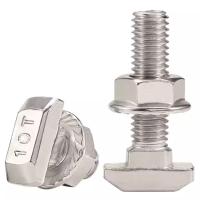 China Custom Color M5-M20 Aluminum Metal T Bolt Sizes And Logo Patterns Can Be Customized DIN186 DIN261 For Automotive Industry for sale