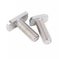 China Custom Color M5-M20 Aluminum Metal T Bolt Sizes And Logo Patterns Can Be Customized DIN186 DIN261 For Automotive Industry for sale