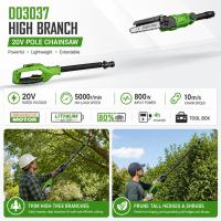 China Cordless Pole Chainsaw Electric Pole Pruner with Plastic Handle for Tall Tree Trimming Hedge Shaping Yard Maintenance for sale