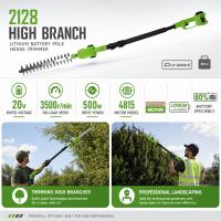 China Trimmer Extension Pole Battery-Powered 20V 500W Shear for Tall Hedge Cutting Garden Pruning & Landscaping for sale