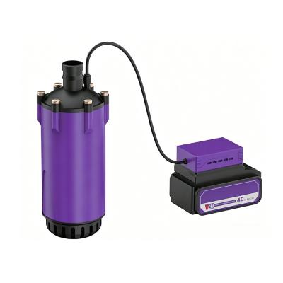 China 21V Cordless Submersible Water Pump 40L/min 5500r/min 3-5m Head Portable Lithium Pump OEM for Garden Irrigation & Drainage for sale