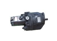 China Hyundai R55-7 31M8-10020 AP2D25  Excavator Spare Part Hydraulic Main Pump for sale