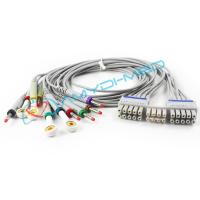 China ODM 10 Lead ECG Cable Banana 4.0 to Snap Mortara Holter with Leadwires 1.2m for sale