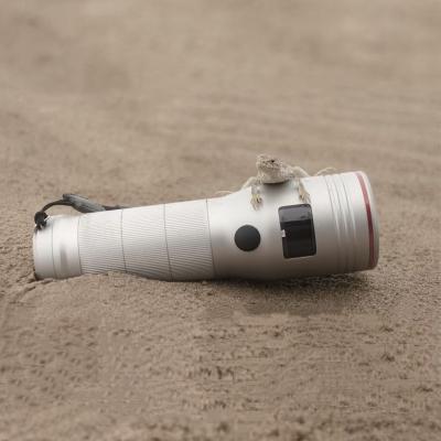 China Remote Laser Gas Detector Natural Gas Pipeline Inspection Safe Long Distance Gas Leak Locator for sale