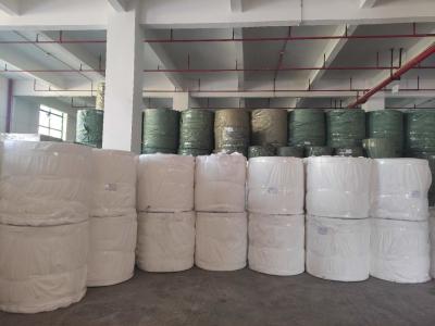 China 25% Viscose 75% Polyester Fibre Spunlace Nonwoven Germany TrüTzschler for sale