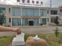 China 40g Pure Viscose Face Hand Disposable Dry Wipe Skin Friendly For baby for sale