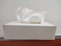 China 80pcs 50g 100% Viscose Disposable Dry Wipes  Skin Friendly White Box Packaging for sale