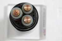 China Medium Voltage Single Core XLPE Insulated Armoured Power Cable 11kv 35kv Copper for sale