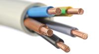 China Copper Conductor PVC Insulated Control Cable 4mm 450/750V Flame Retardant for sale