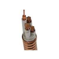 China 4 Core 25-300mm² XLPE Insulated PVC Sheathed Underground Power Cable 0.6/1kV for sale