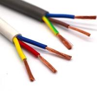 China RVVP Shielded Flexible Cable 300/300V PVC Insulated 0.3-16mm² for Anti-Interference Wiring for sale