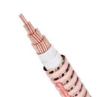 China Fire Resistant Mineral Insulated Cable 70mm 95mm 120mm Copper 0.6/1kV for sale