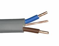 China 300/500V PVC Insulated Flat Twin and Earth Electric Cable 2.5mm² for Indoor Wiring for sale