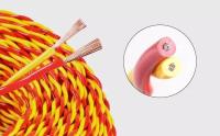 China Double Core PVC Insulated RVS Twisted Cable 2.5mm² 300V for Lighting and Fire Alarm Systems for sale