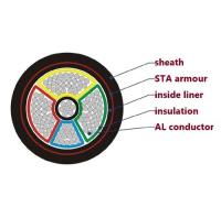 China VLV22 Armoured Aluminum Power Cable 0.6/1kv 26/35kv PVC Insulated 10-600mm² for sale
