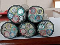 China Aluminum Conductor PVC Insulated Power Cable 0.6/1kV 10-600mm² for Indoor Use for sale