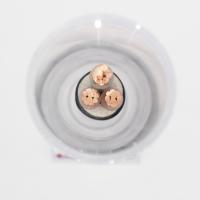 China 0.6/1kV XLPE Armoured Power Cable 25-240mm² Copper Conductor PVC Sheath for sale