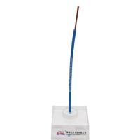China BVR 2.5mm2 Copper Core PVC Insulated Flexible Cable 450/750V House Wiring for sale