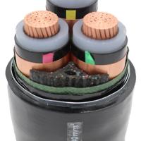 China XLPE Insulated PVC Sheath SWA STA Armoured Power Cable 25-500mm2 8.7/15KV for sale