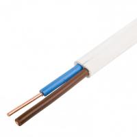 China Double Core Copper PVC Insulated Flat Electrical Wire 300/500V 450/750V for Housing Wiring for sale