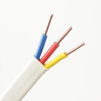 China Double Core Copper PVC Insulated Flat Electrical Wire 300/500V 450/750V for Housing Wiring for sale