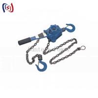 China Heavy Duty Chain Type Handle Hoist with 5-90KN Rated Load 1.5M Lifting Height and 1-3 Row Lifting Chain for Power Plant Maintenance for sale