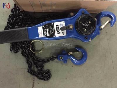 China Professional Chain Type Handle Hoist with 5-90KN Rated Load for Energy Independent and Precision Load Positioning in Electrical Equipment for sale
