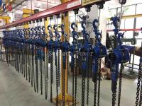 China Professional Chain Type Handle Hoist with 5-90KN Rated Load for Energy Independent and Precision Load Positioning in Electrical Equipment for sale