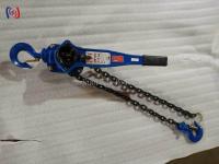 China Professional Chain Type Handle Hoist with 5-90KN Rated Load for Energy Independent and Precision Load Positioning in Electrical Equipment for sale
