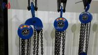 China Professional Manual Chain Hoist for Heavy Duty Lifting in Electrical Construction with 5-200KN Rated Load for sale