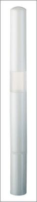 China 2ML Empty Cosmetic Click Pen Packaging for Nail Oil, Teeth Whitening & Lipgloss - PP Material, Custom Colors for sale