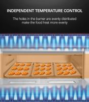 China Digital Temperature Control Display Yes Multi-Purpose Intelligent Computer Board Gas Oven for sale