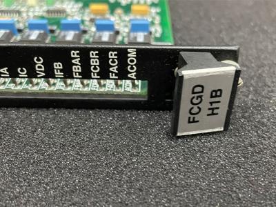 China DS200FCGDH1BCA GE Bridge Interface Board for LS2100 Series 120V for sale