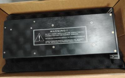 China Invensys Triconex 8312 230VAC 2.5A Dual-Redundant Hot-Swappable Power Supply Module for sale