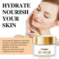 China OEM Face Cream Peptides Hydrate Firming Day Night Collagen Liquid for sale