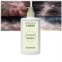 China Oil Control Anti Dandruff Anti Itchin Shampoo Deep Cleansing Hair Shampoo for sale