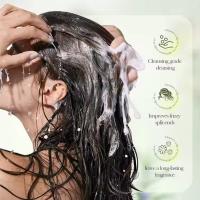 China Oil Control Anti Dandruff Anti Itchin Shampoo Deep Cleansing Hair Shampoo for sale
