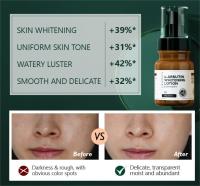 China Whitening Face Lotion Alpha Arbutin Dark Spot Face Cream Lotion Skincare Facial Lotion for sale