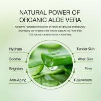 China Sooth Aloe Vera Lotion Facial Emulsion Lotion For Dry Sensitive Skin ODM for sale