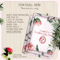 China Natural Nourishing Face Mask Moisturizing Camellia Mask Essence Repair Facial Mask for sale