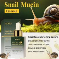 China Anti Freckle Brightening Vitamin C Glowing Skin Products Collagen Face Serum Snail for sale