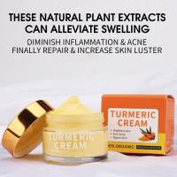 China Organic Skin Care Acne Wrinkle Dark Spot Moisturizer Bleaching Turmeric Face Cream for sale