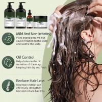 China Vegan Hair Care Rosemary Mint Strengthening Oil Control Hair Growth Shampoo Conditioner Hair Oil Masque Mask Set for sale